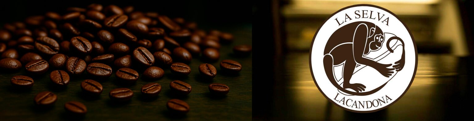 La Selva Café – Café Orgánico 100% Chiapaneco